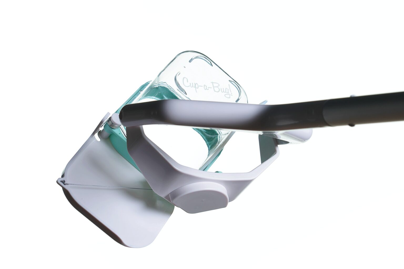 Cup-a-Bug! - Cup-a-Bug Official Store