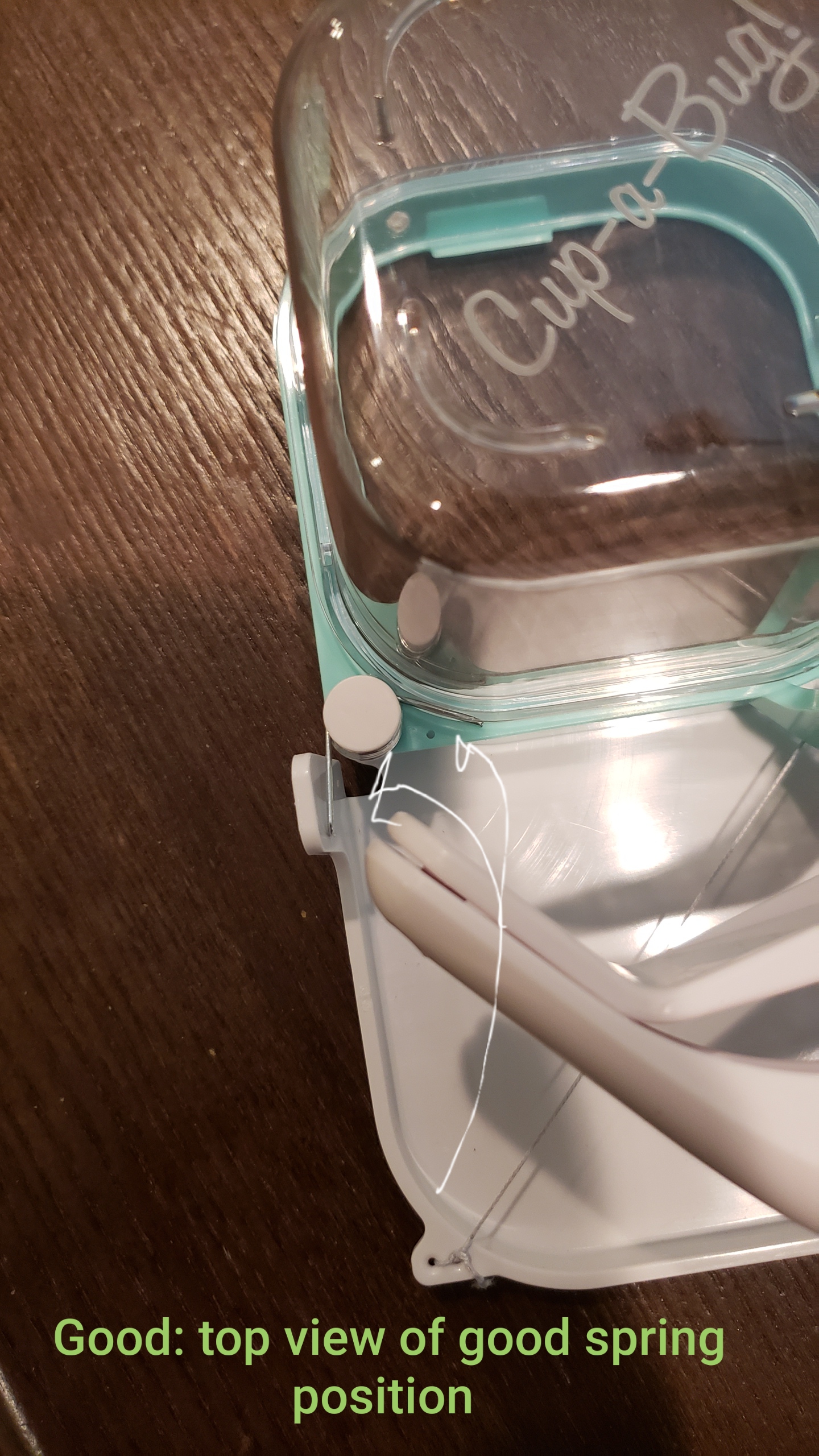 How - Cup-a-Bug Official Store