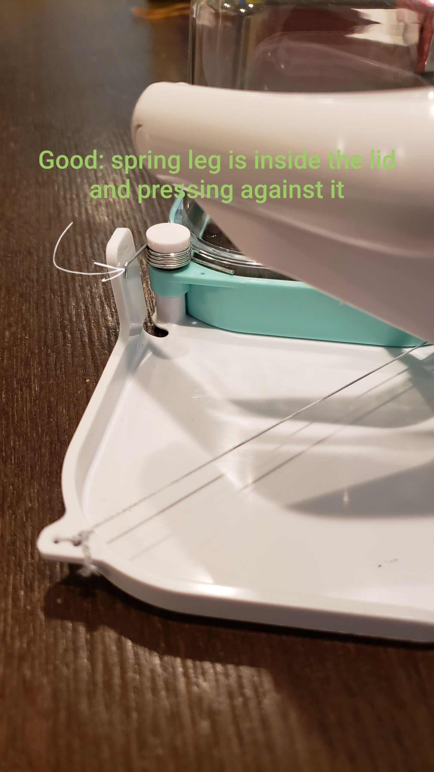 How - Cup-a-Bug Official Store